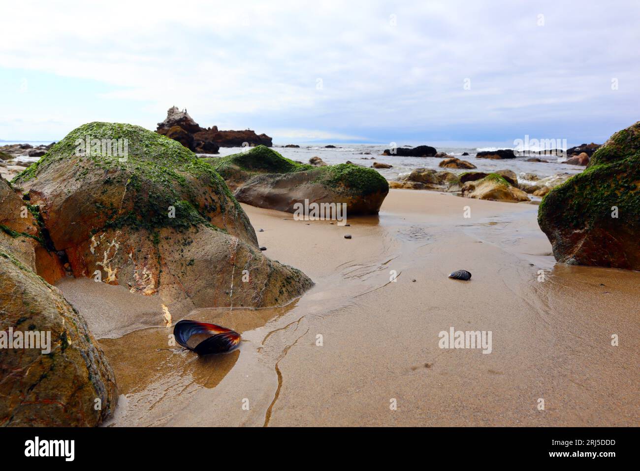 MALIBU (California), detail view of BIG ROCK BEACH located at 20000 ...