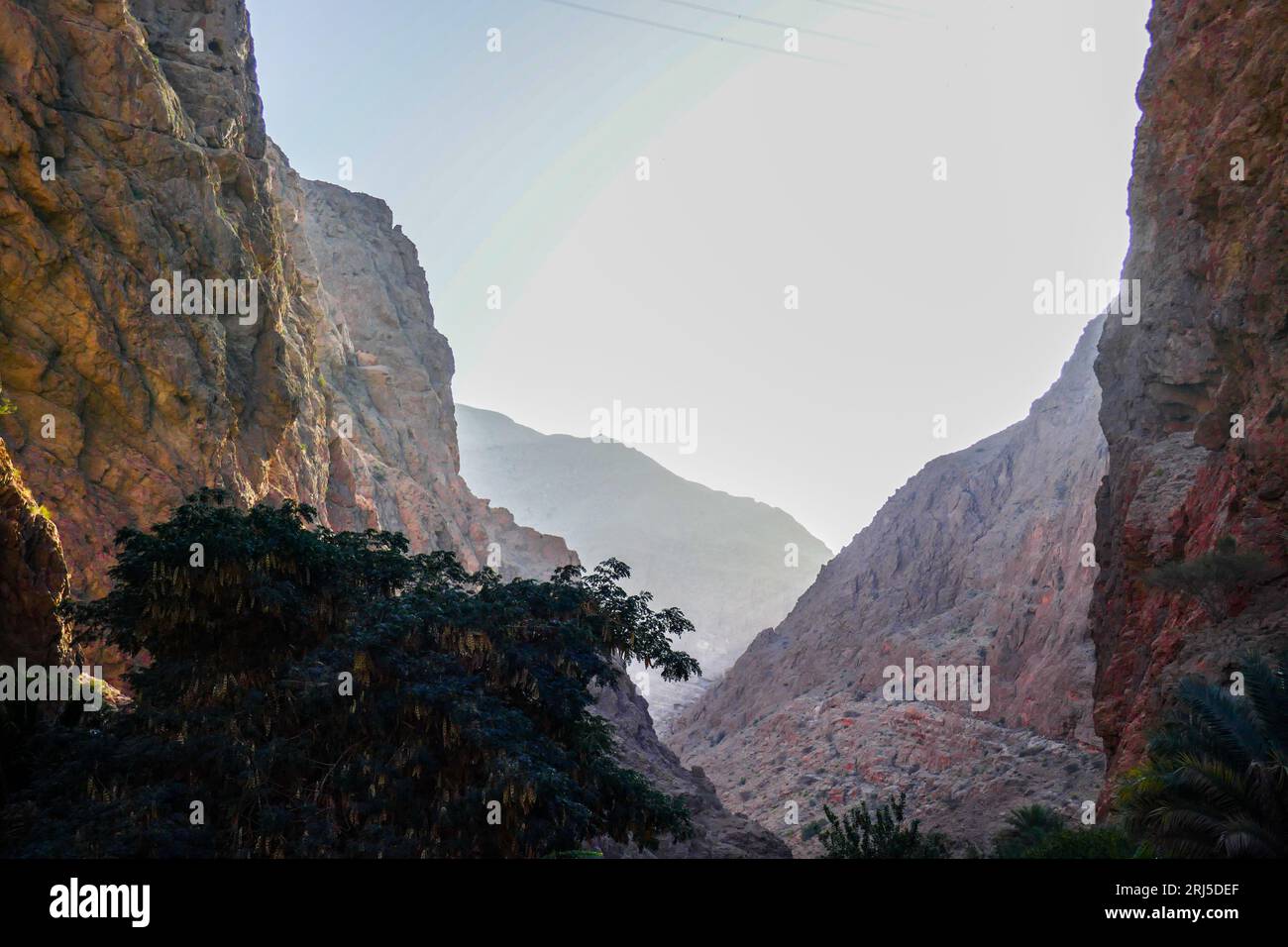 This stunning image showcases a picturesque valley in the Wadi in Oman ...