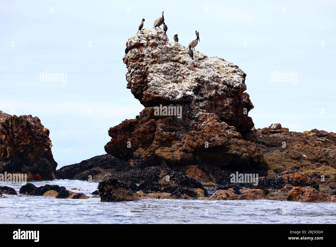 MALIBU (California), detail view of BIG ROCK BEACH located at 20000 ...