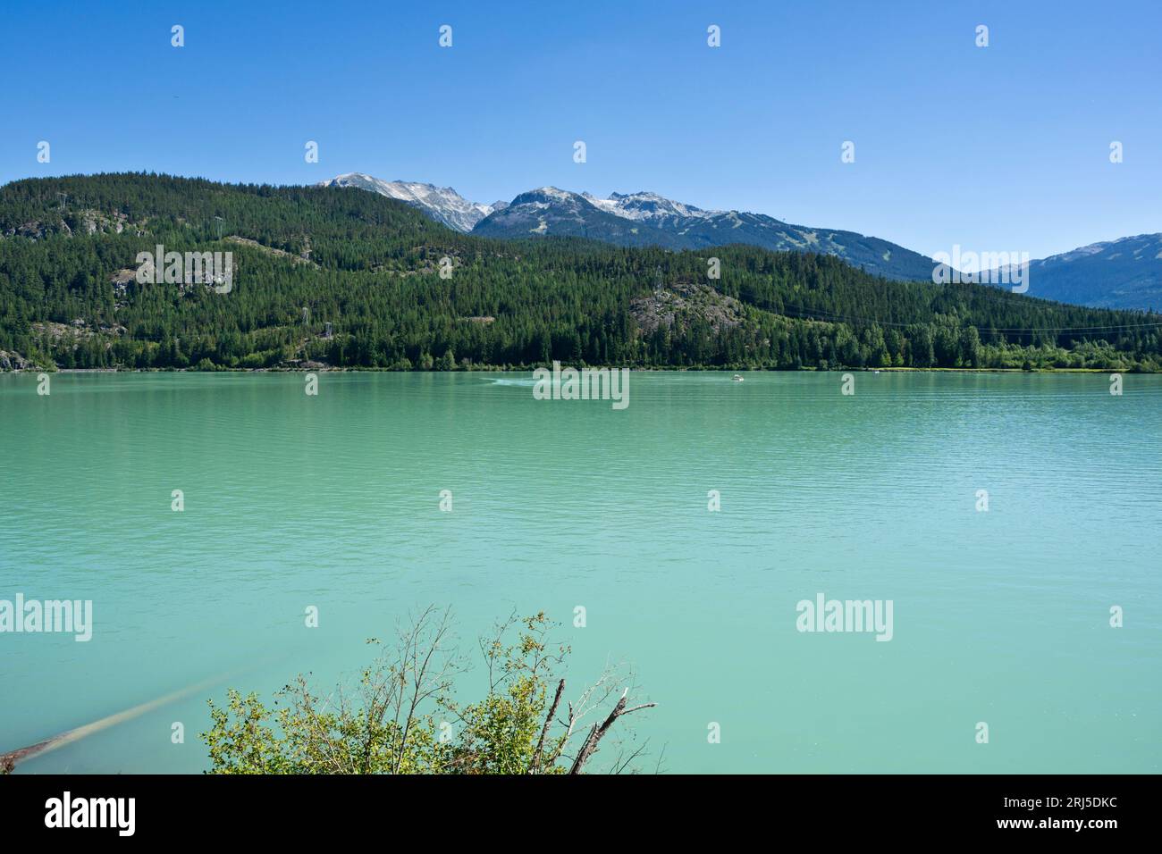 Forests and lakes of british columbia hi-res stock photography and ...