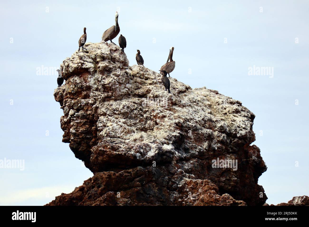 MALIBU (California), detail view of BIG ROCK BEACH located at 20000 ...
