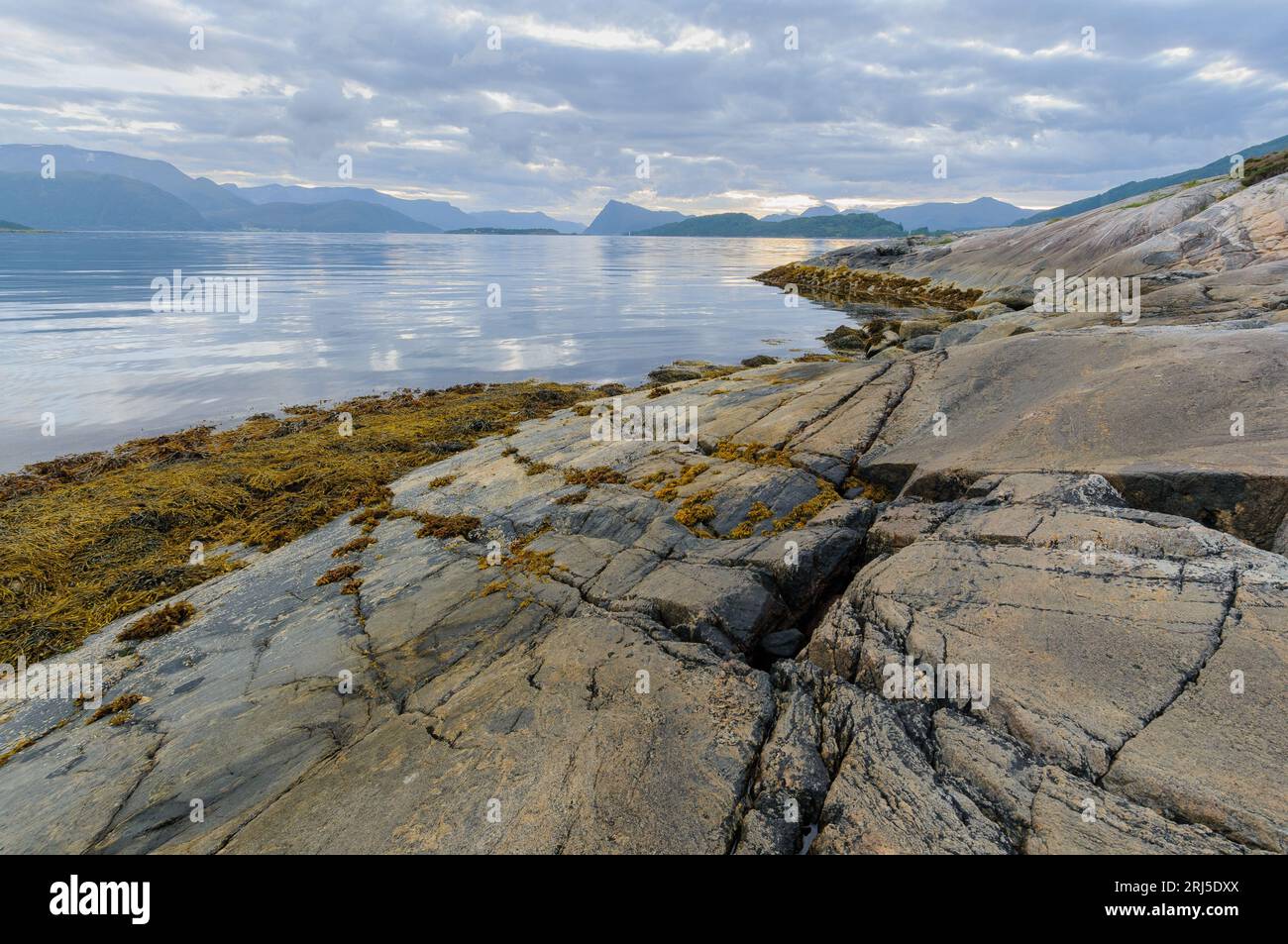 A calm shoreline features smooth rocks and seaweed, reflecting soft ...