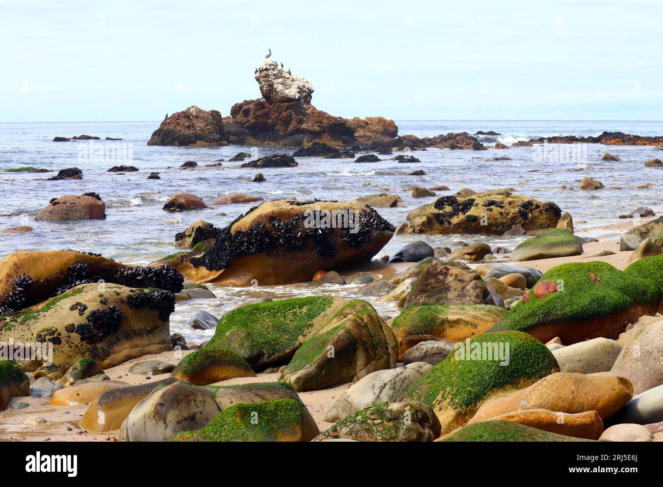 MALIBU (California), detail view of BIG ROCK BEACH located at 20000 ...