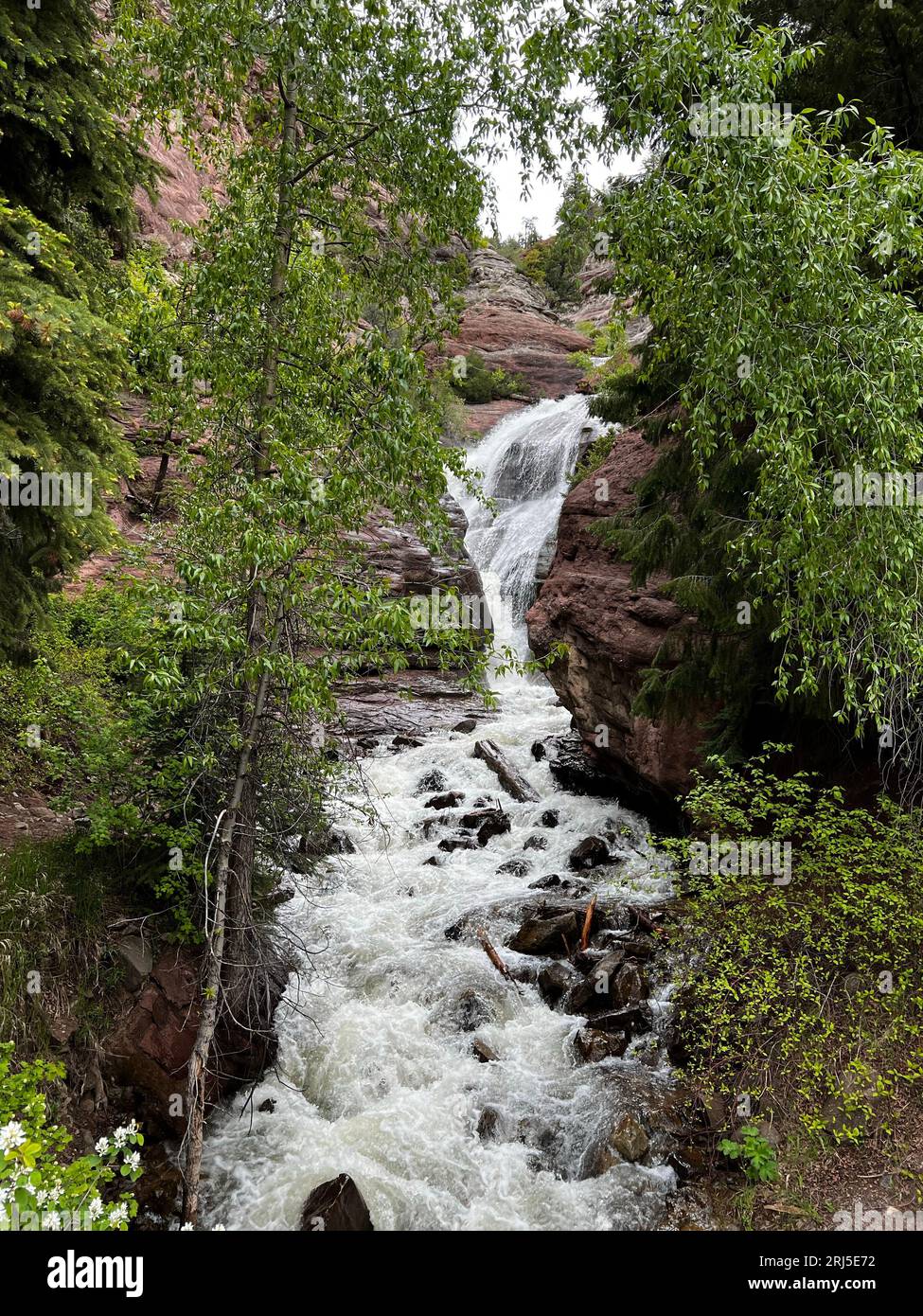 A cascading waterfall in a forest of lush green trees Stock Photo - Alamy