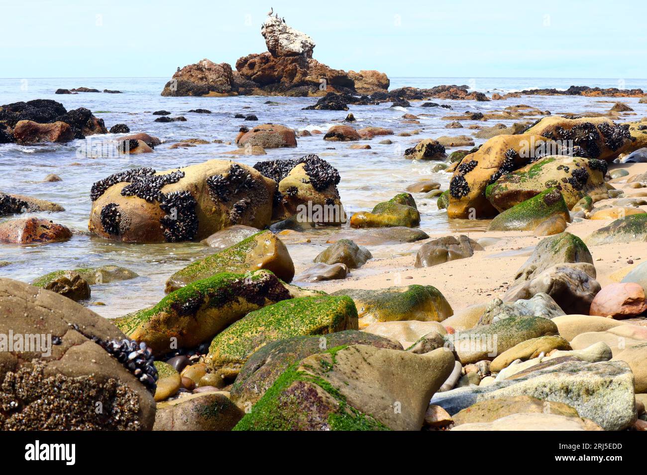 MALIBU (California), detail view of BIG ROCK BEACH located at 20000 ...