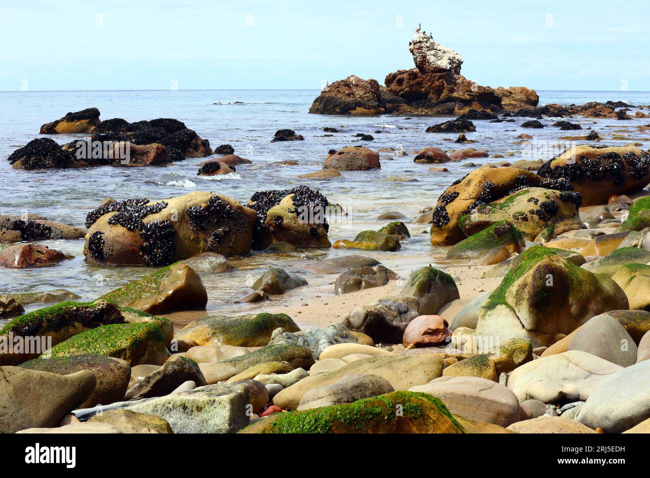 MALIBU (California), detail view of BIG ROCK BEACH located at 20000 ...