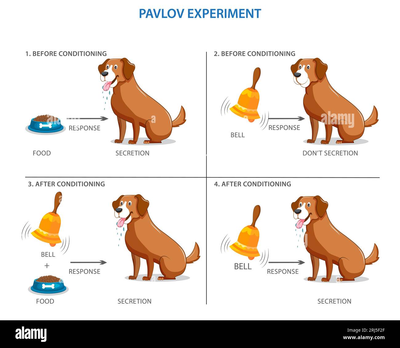 This high-resolution image features a detailed illustration of a guide ...