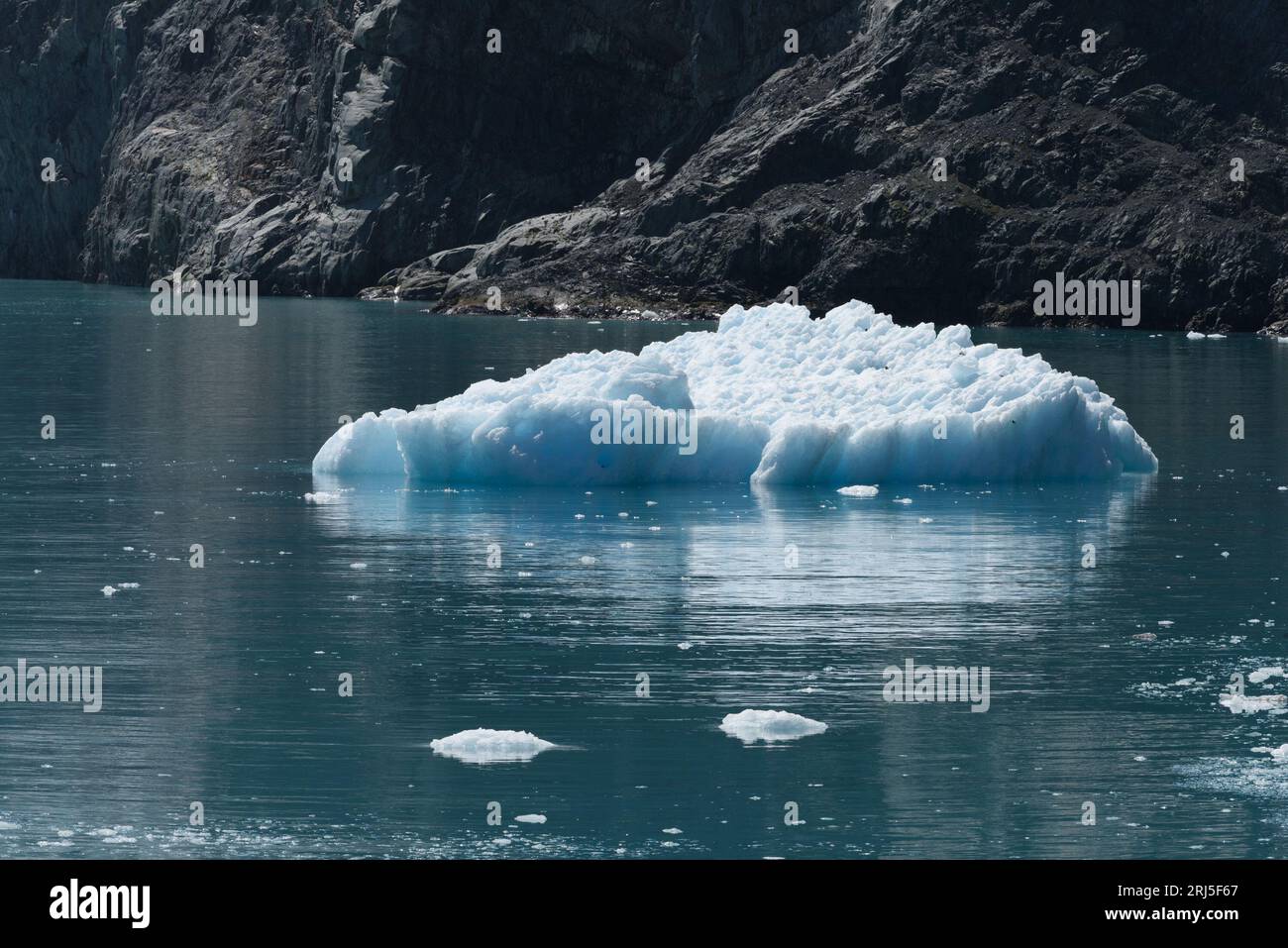 Iceberg floating at South Georgia Island in the Drygalski Fjord ...