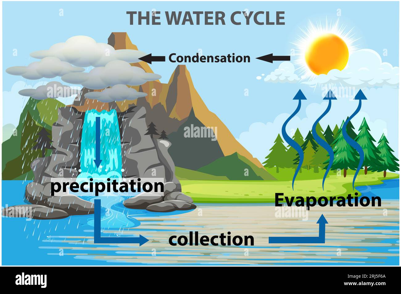 This image illustrates the water cycle in a natural setting with a ...
