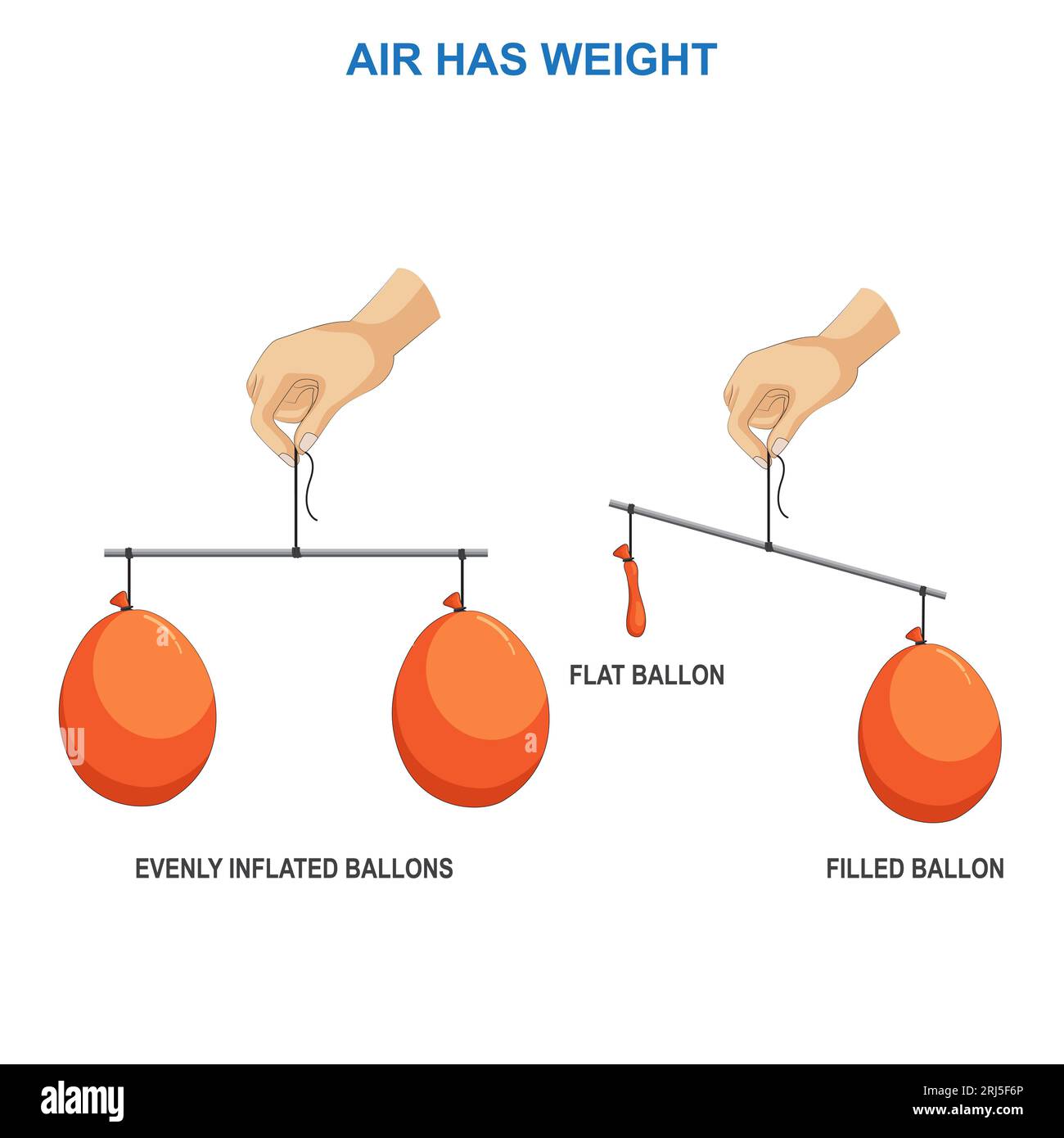A person performing an exercise routine with a balance ball on a ...