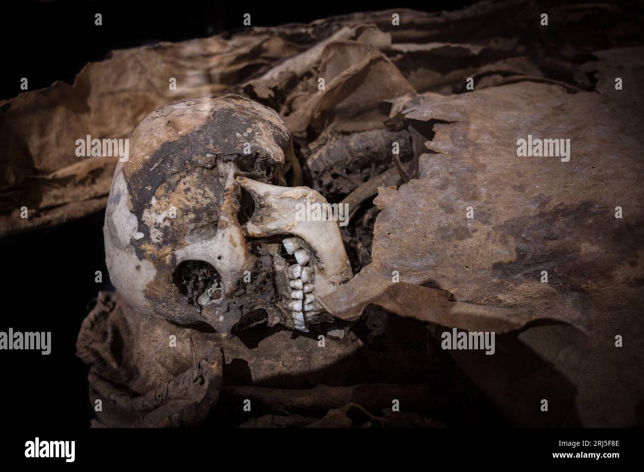 Human anatomy ancient people hi-res stock photography and images - Alamy