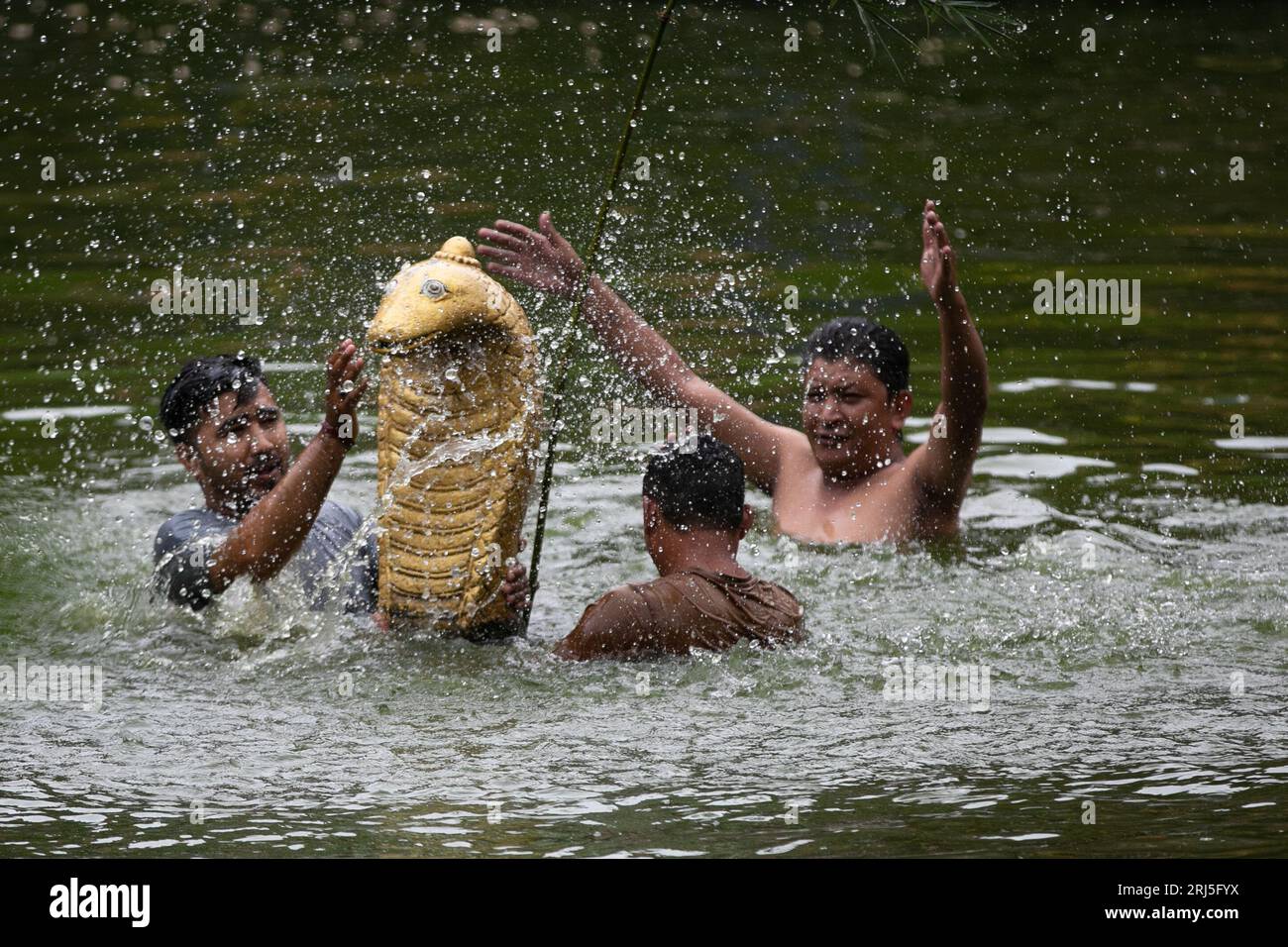 Nag devta hi-res stock photography and images - Alamy