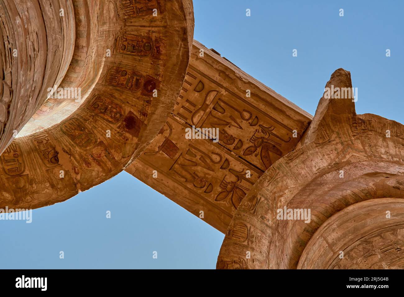 A low-angle shot of the detail of the columns with closed papyriform ...