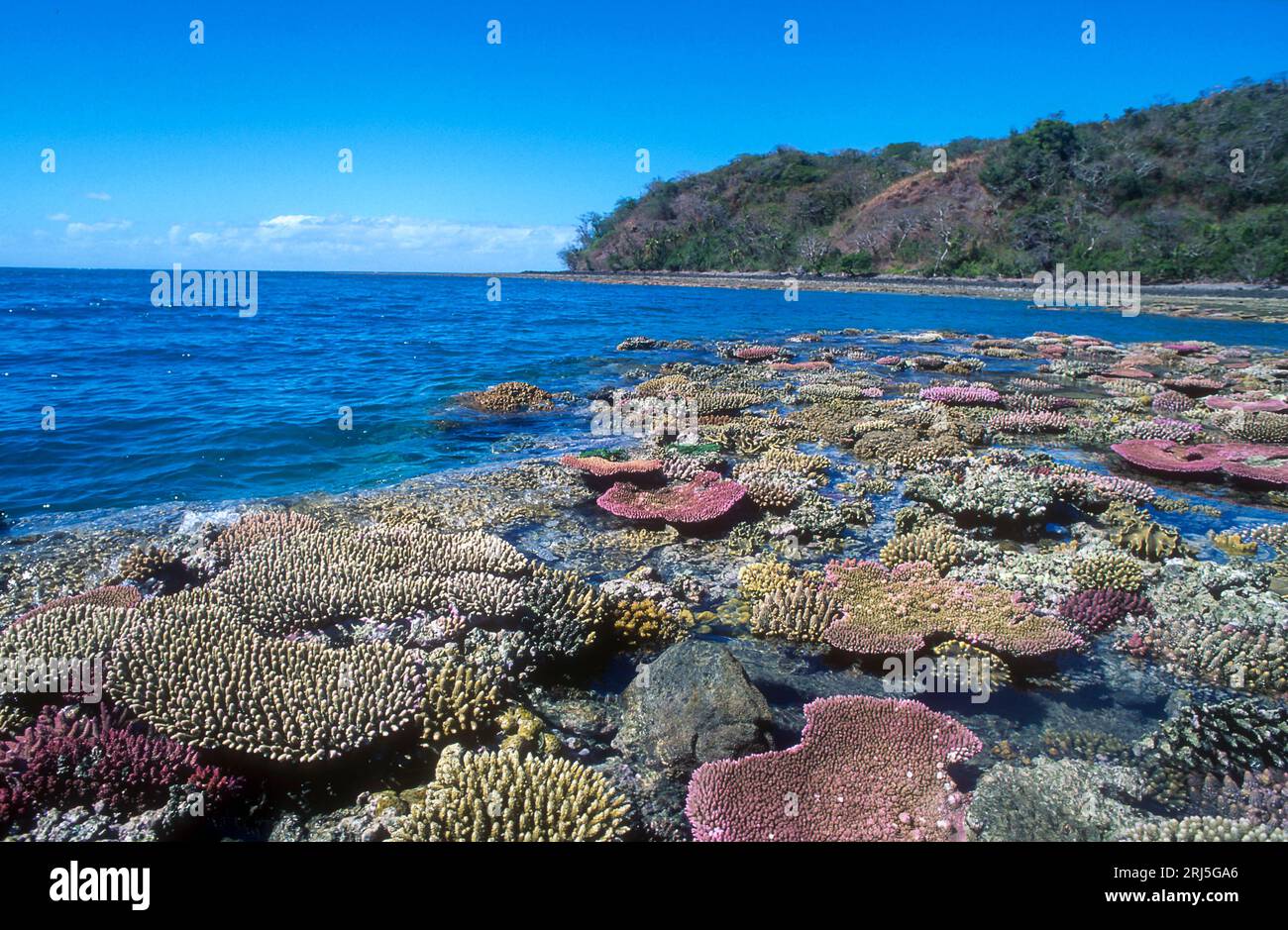 Reef edge hi-res stock photography and images - Alamy