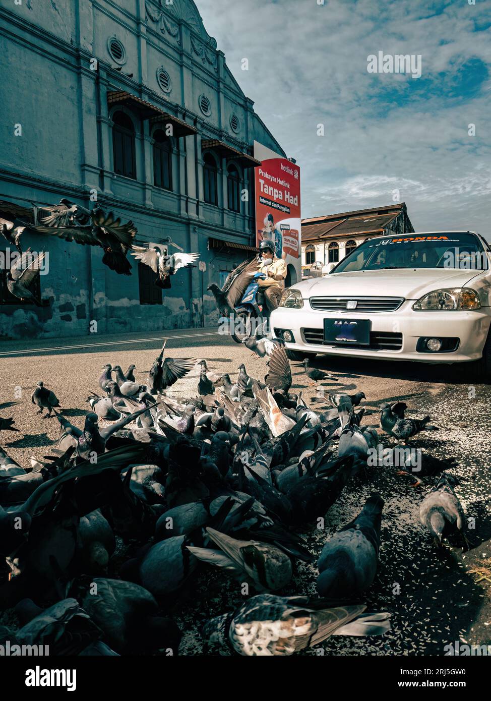 Pigeons against buildings hi-res stock photography and images - Alamy