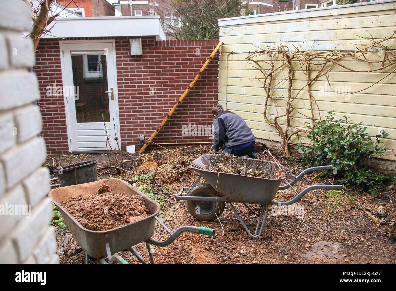 Holly garden pruning hi-res stock photography and images - Alamy