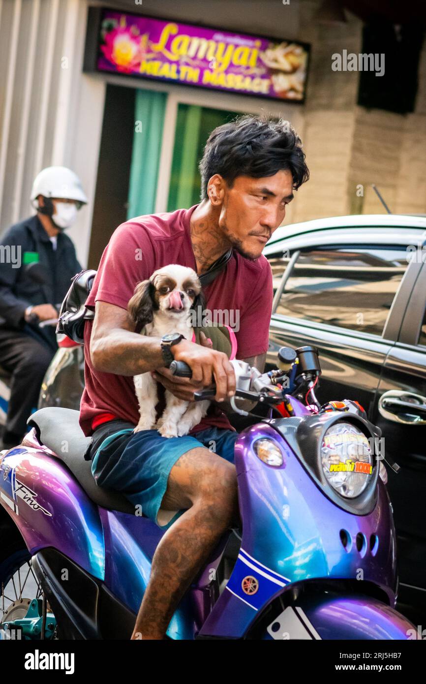 A Thai man speeds along Soi Buakhao, Pattaya, Thailand with his little ...