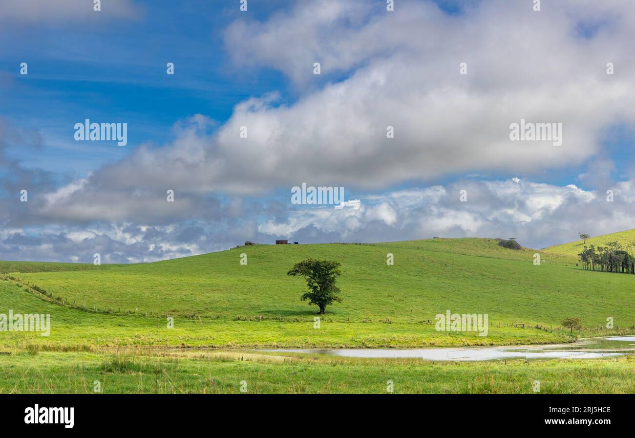 The Tablelands Region is a local government area in Far North ...