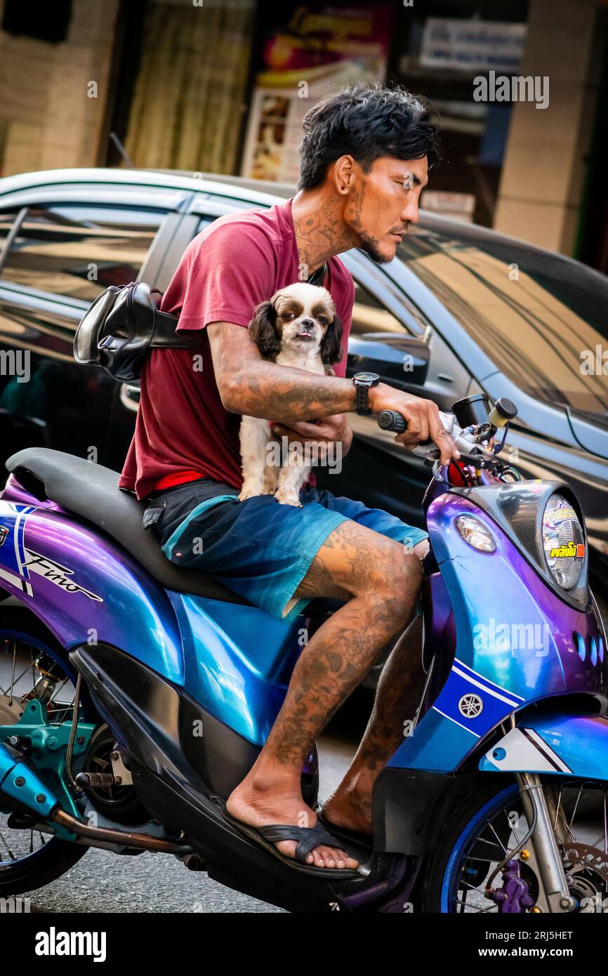 A Thai man speeds along Soi Buakhao, Pattaya, Thailand with his little ...