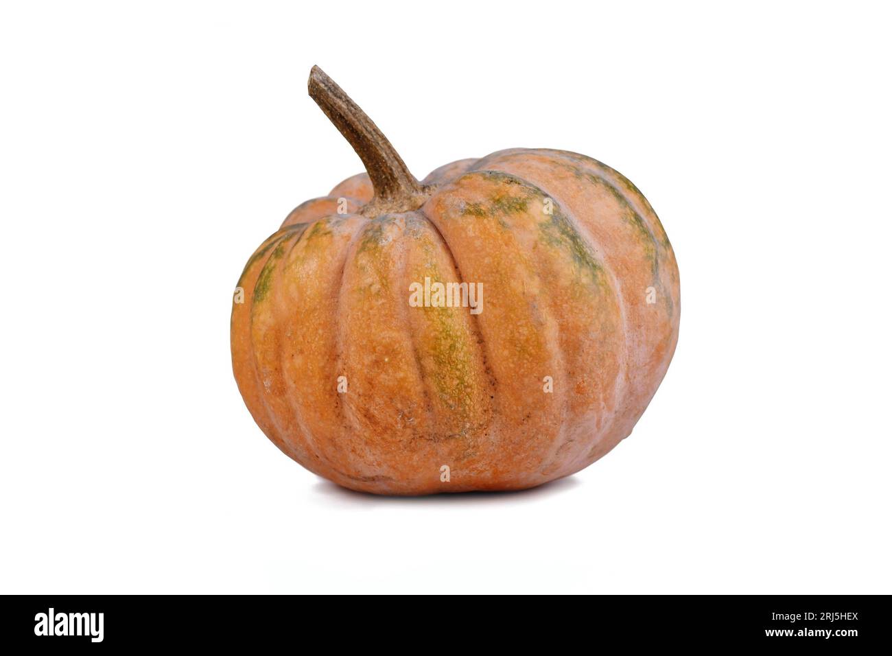 Orange musque de Provence pumpkin on white background Stock Photo - Alamy