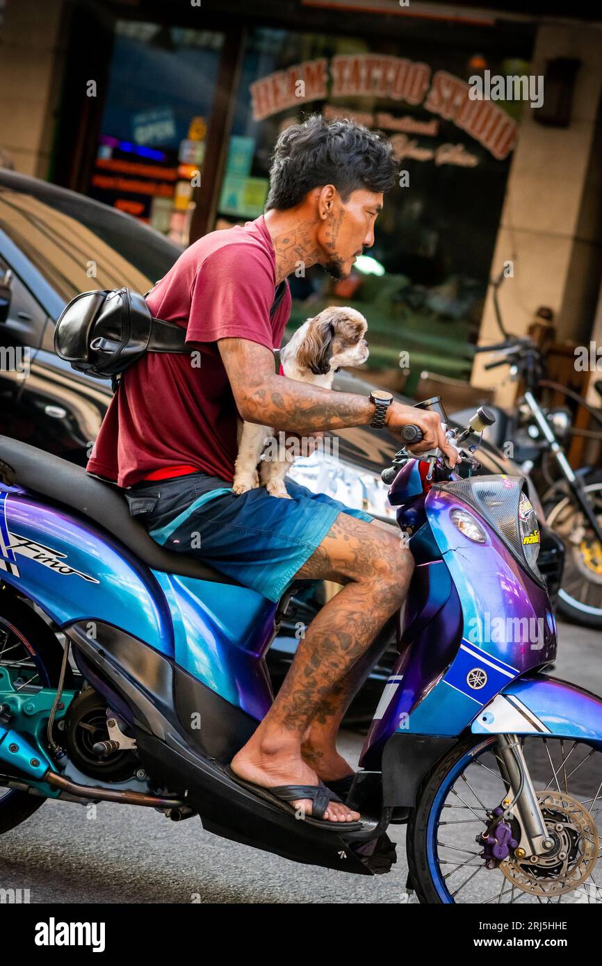 A Thai man speeds along Soi Buakhao, Pattaya, Thailand with his little ...