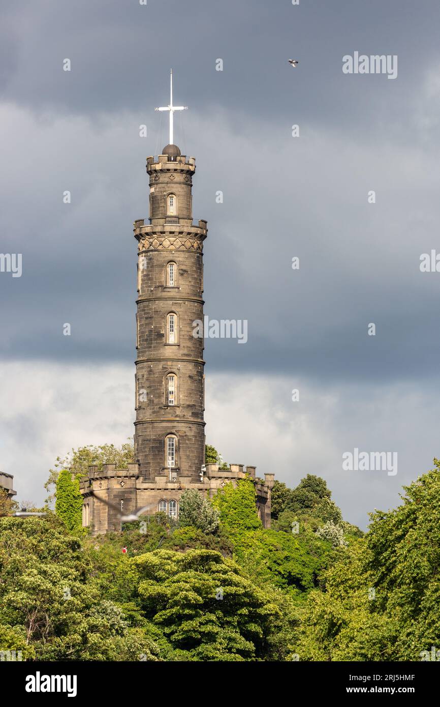 Nelson landmark hi-res stock photography and images - Alamy