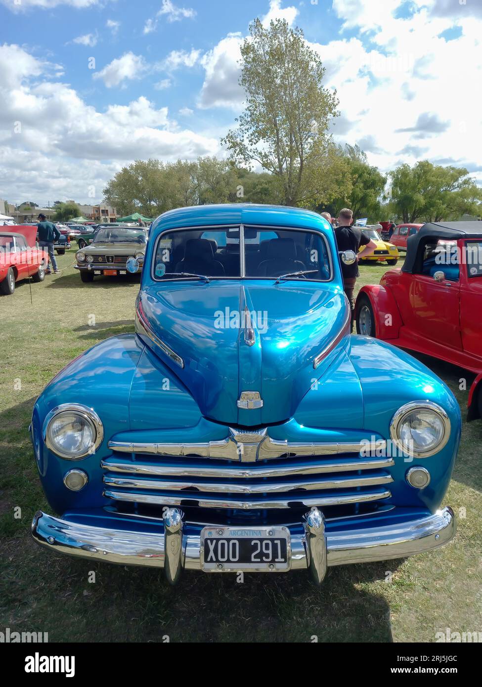 Old blue late 1940s Ford V8 Super Deluxe coupe on the lawn. Nature ...