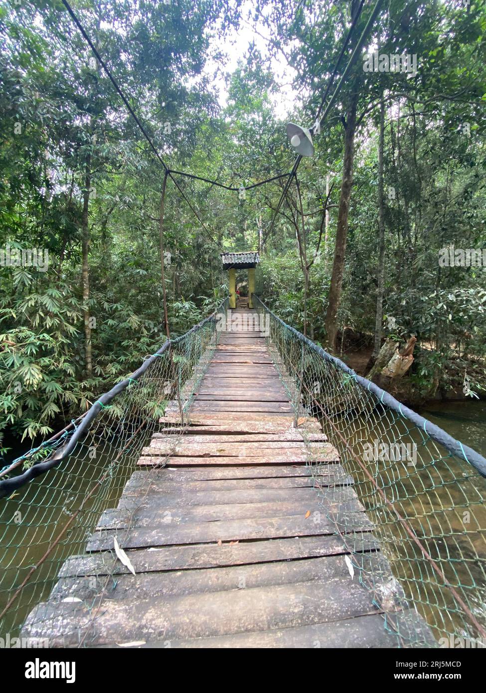 Serene view bridge spanning wide hi-res stock photography and images ...