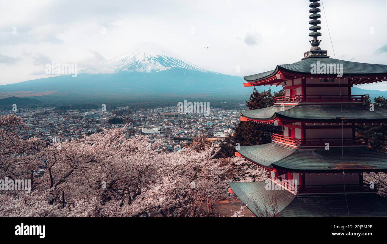 Japan mount fuji temple hi-res stock photography and images - Alamy