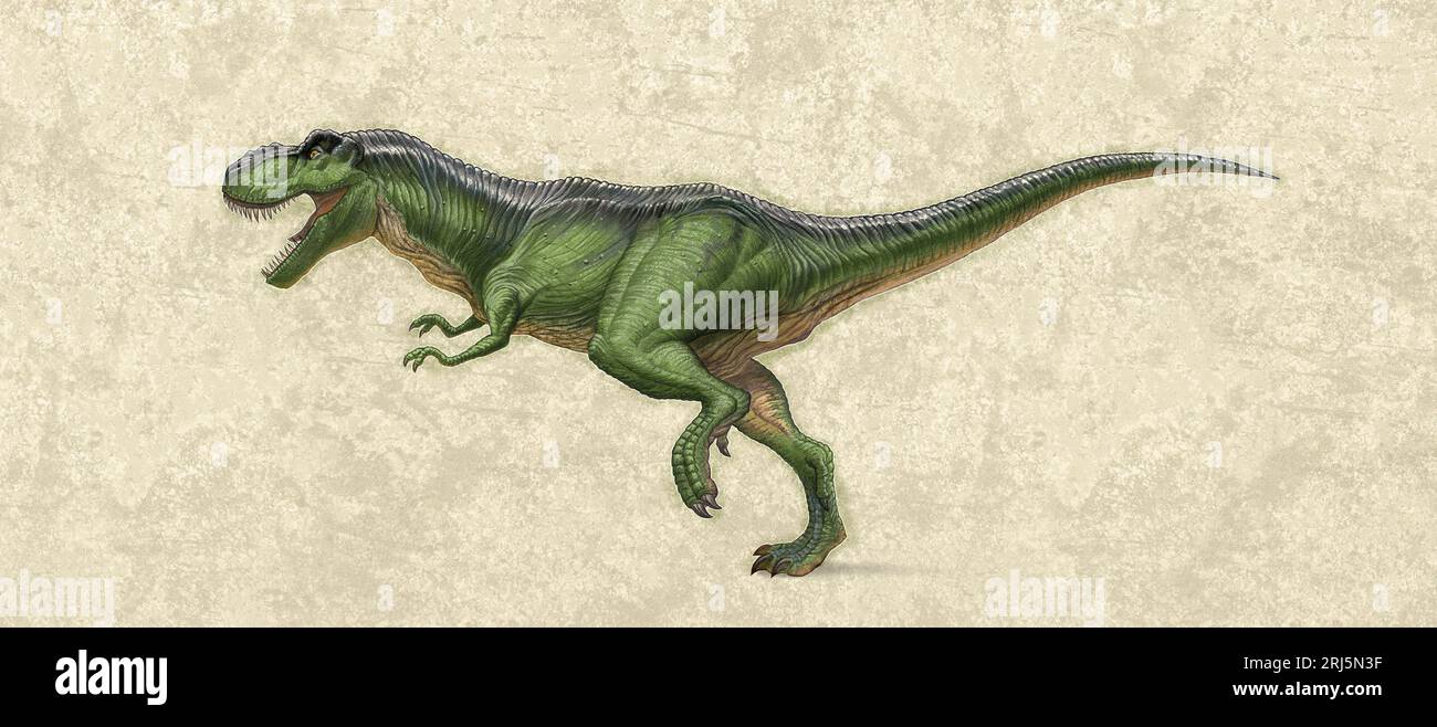 Running Tyrannosaurus Rex Stock Photo - Alamy
