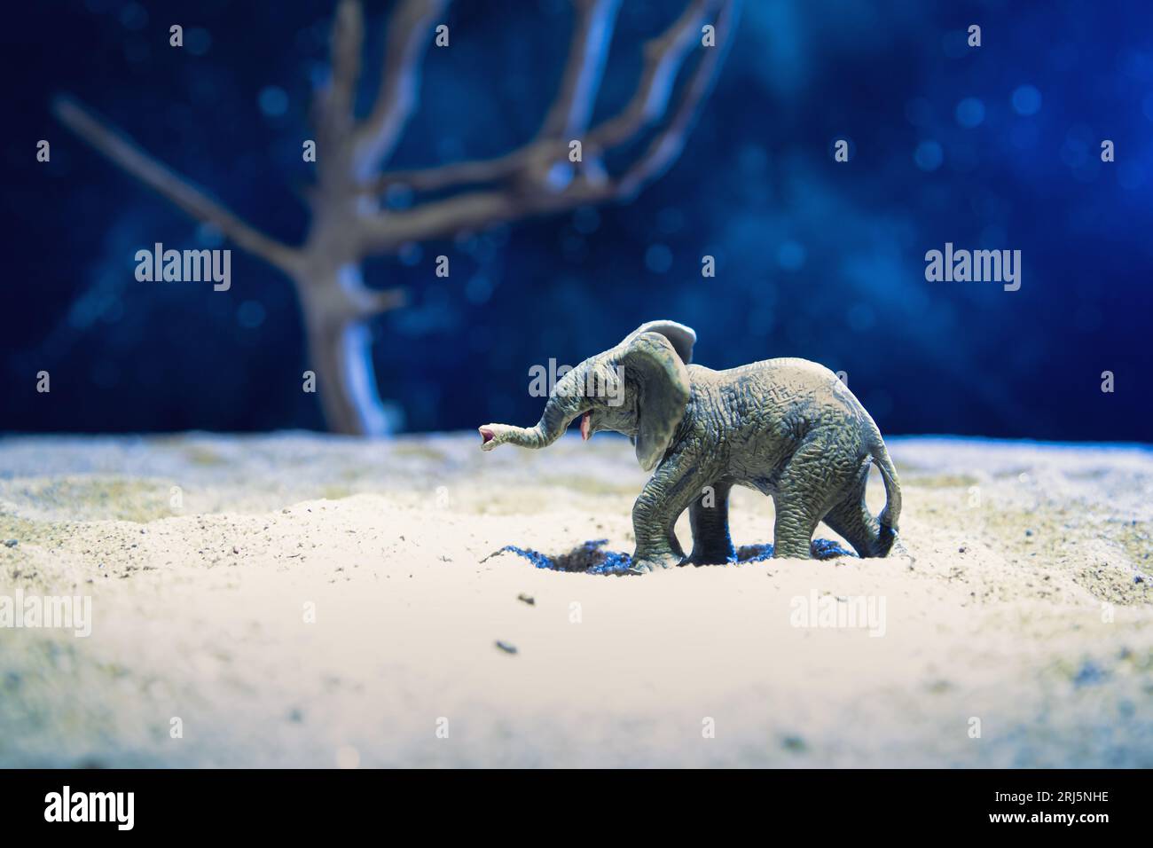 Elephant walks through the dry desert at night. Creative scenery with a ...
