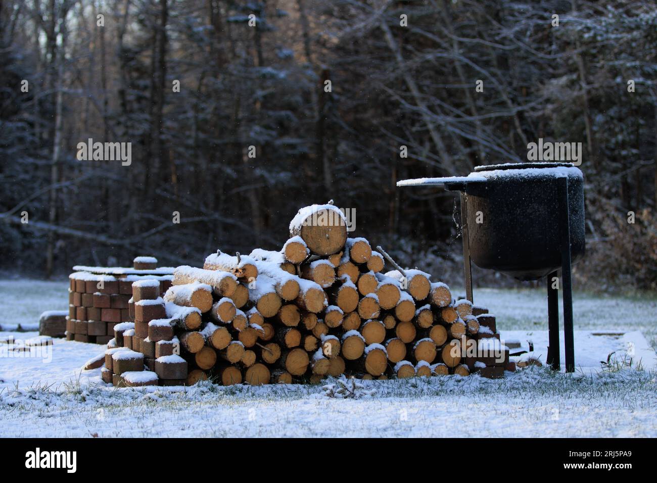 A pile of freshly cut logs with a wood burner on a winter landscape ...