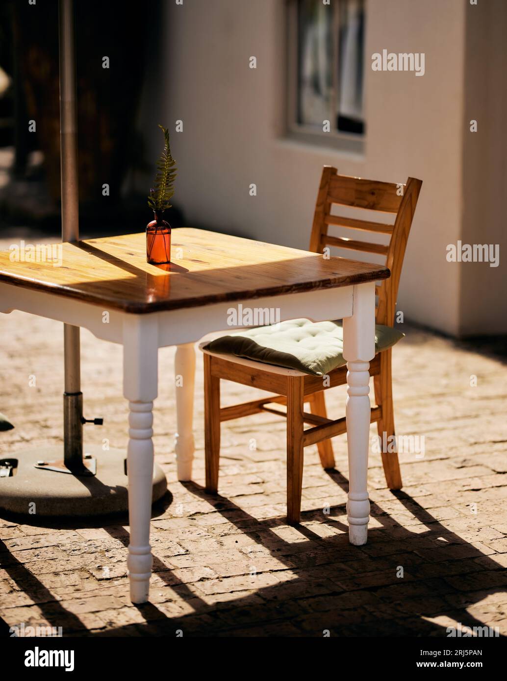 Seating by fragrant plant hi-res stock photography and images - Alamy