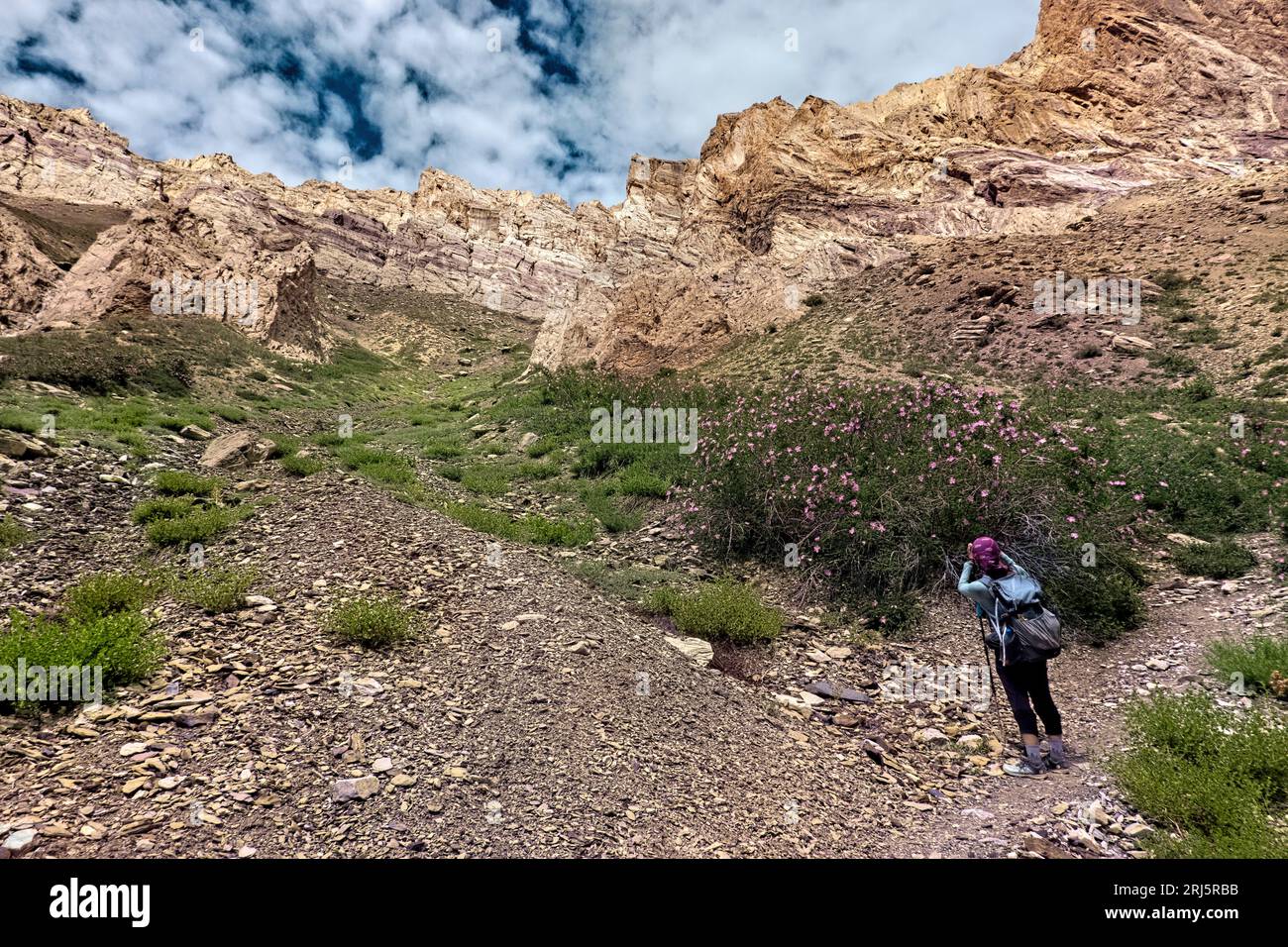 Trekking to Lingshed Sumdo, Zanskar, Ladakh, India Stock Photo - Alamy