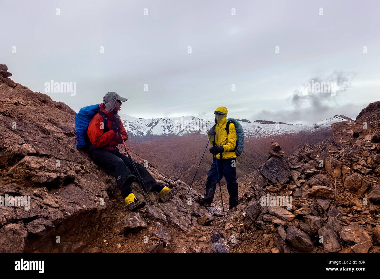Trekking to the Nialo Kontse La Pass, Zanskar, Ladakh, India Stock ...