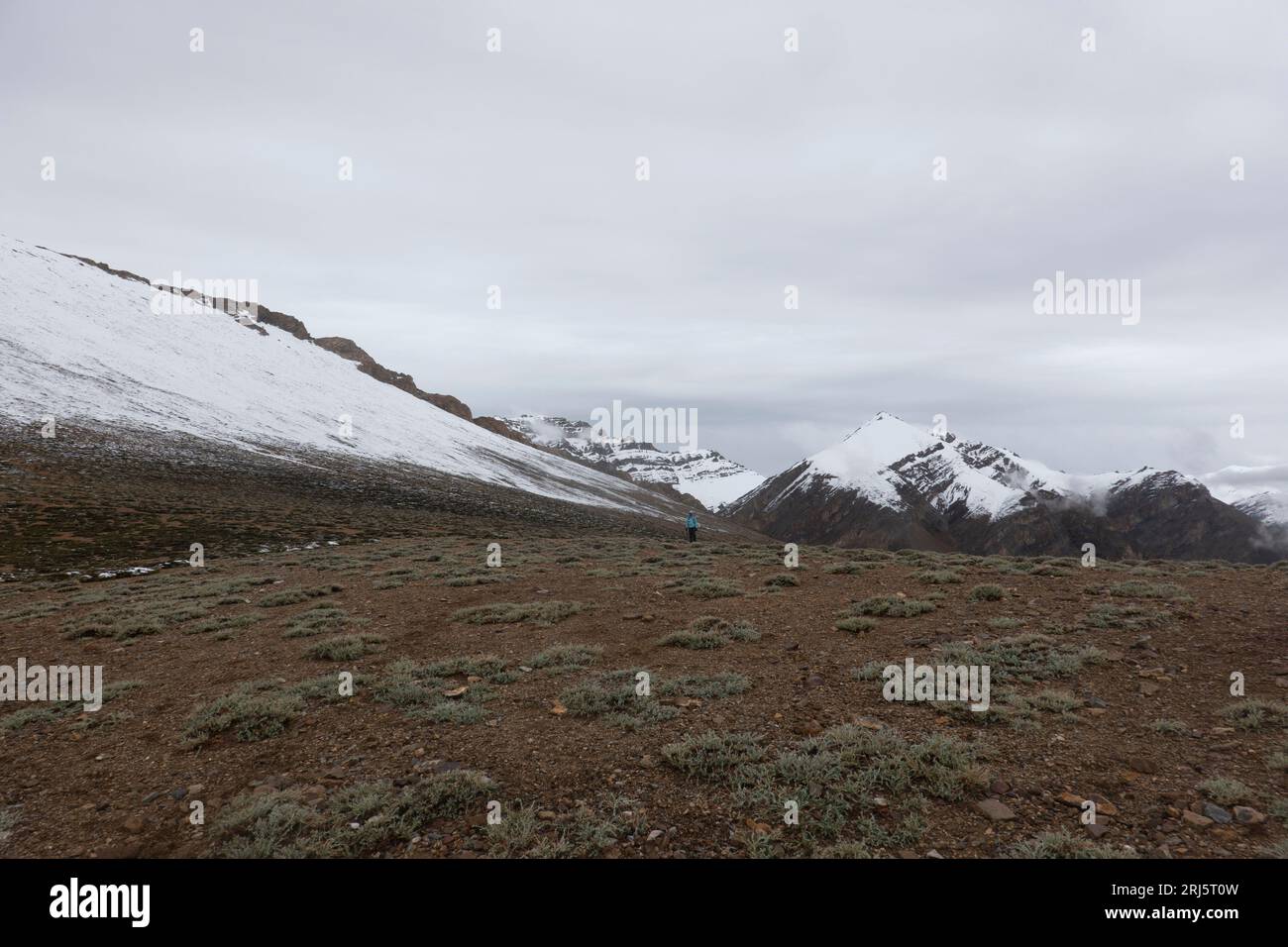 Trekking to the Nialo Kontse La Pass, Zanskar, Ladakh, India Stock ...