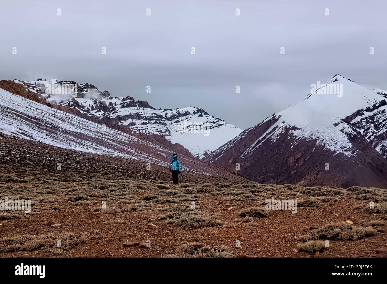 Trekking to the Nialo Kontse La Pass, Zanskar, Ladakh, India Stock ...