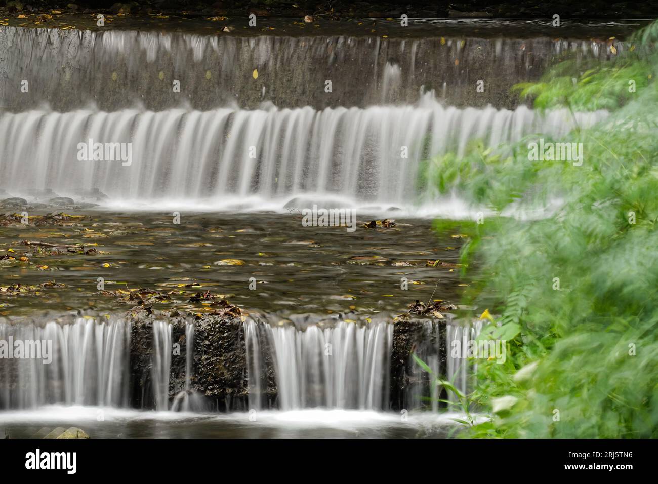 Tranquil stream meandering between hi-res stock photography and images ...