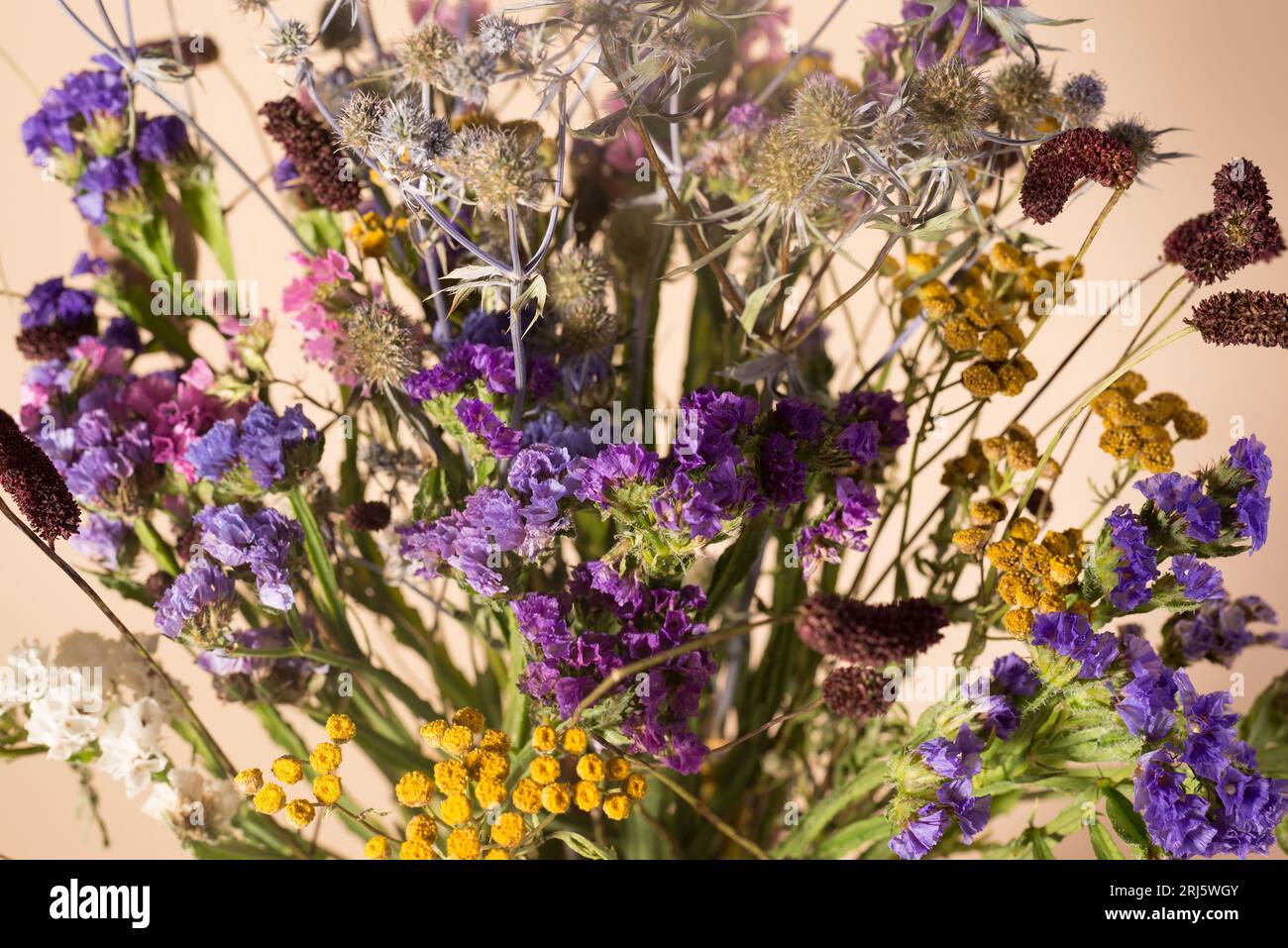 Dry flowers bouquet close up. Closeup variety of dried plants Stock ...