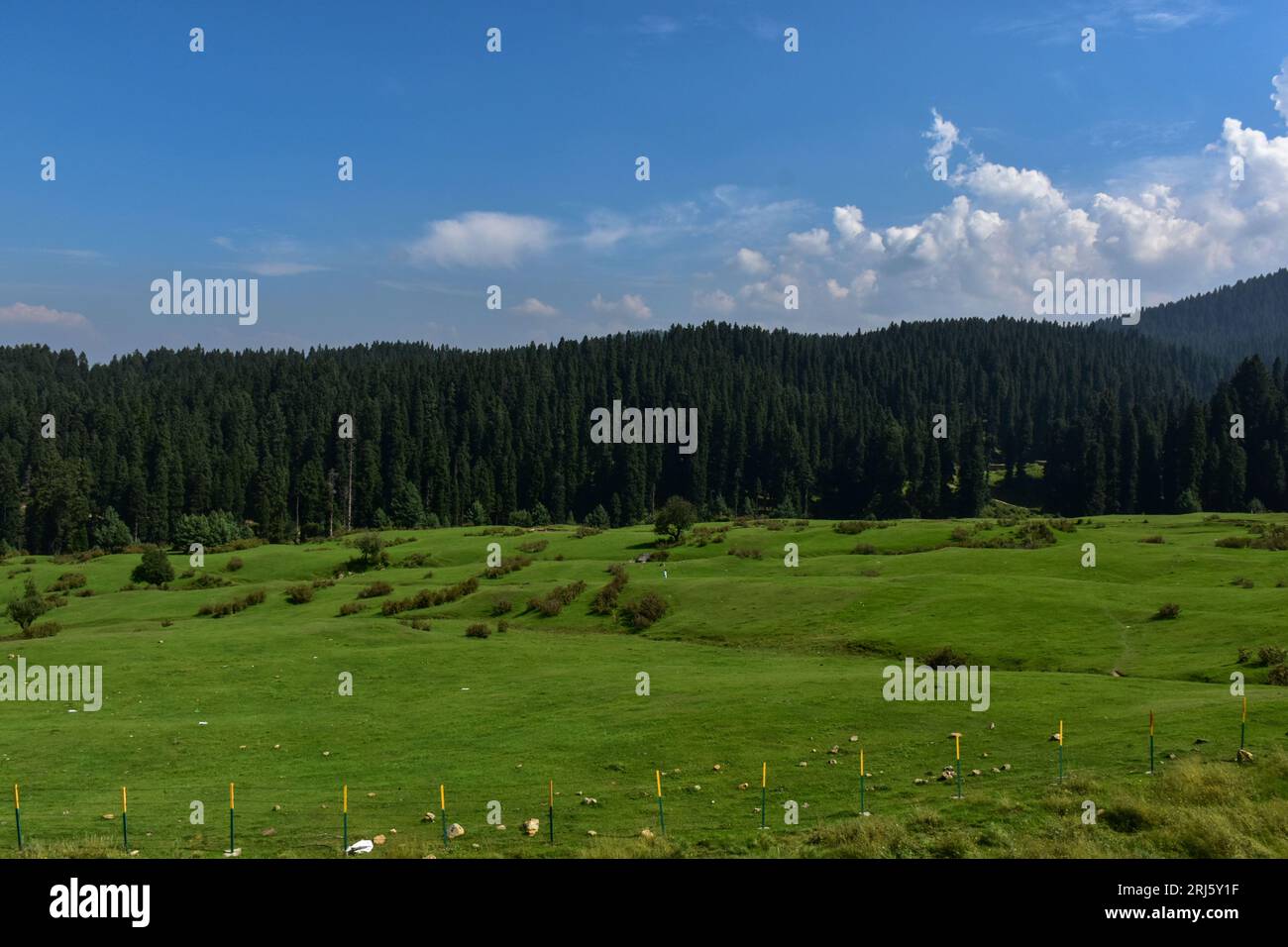 Tosa Maidan, India. 21st Aug, 2023. General view of Tosa Maidan (or ...