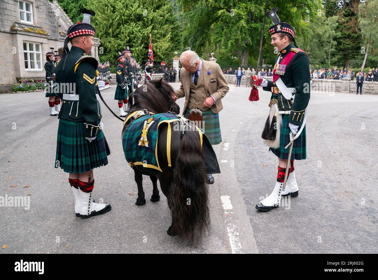 King Charles III meets the Royal Regiment of Scotland mascot Shetland ...