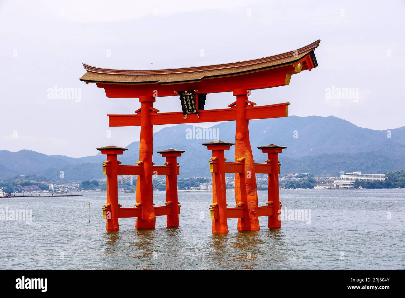 A side view of the red, floating Torii gate standing against lush ...