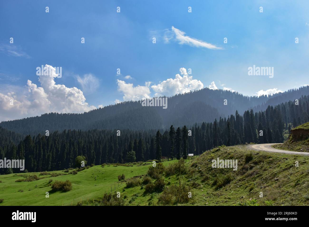 Toshamaidan hi-res stock photography and images - Alamy