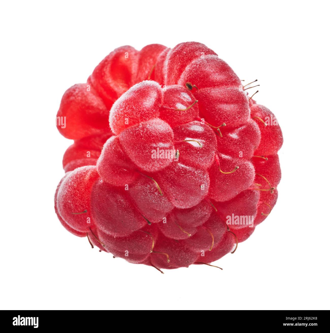 Delicious single raspberry over isolated white background Stock Photo ...