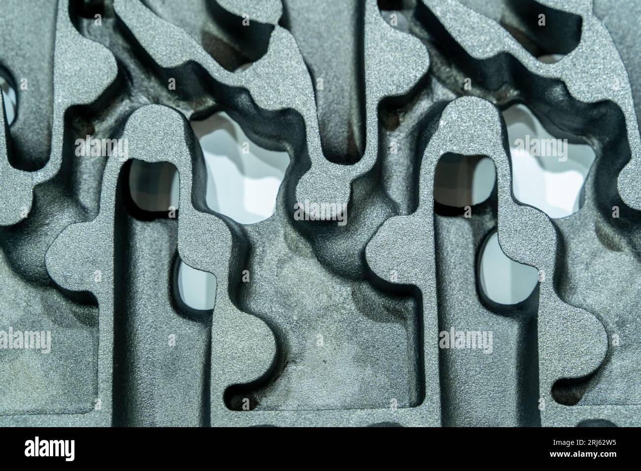 Detailed sectional view of modern gasoline engine cylinder structure ...