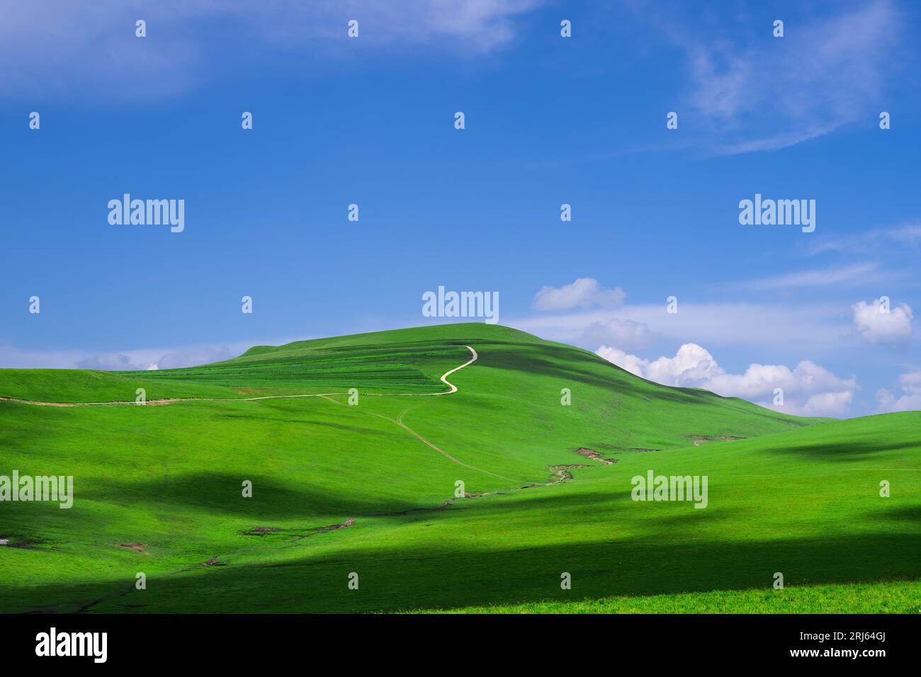 A scenic view of a sloping hillside with vibrant green grass ...