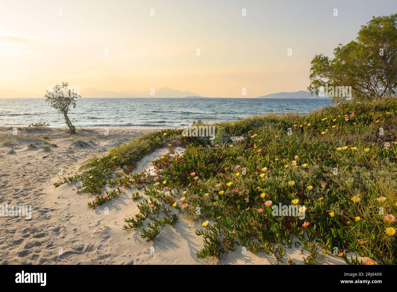 Beautiful Marmari beach with golden sand during sunset. Kos island ...