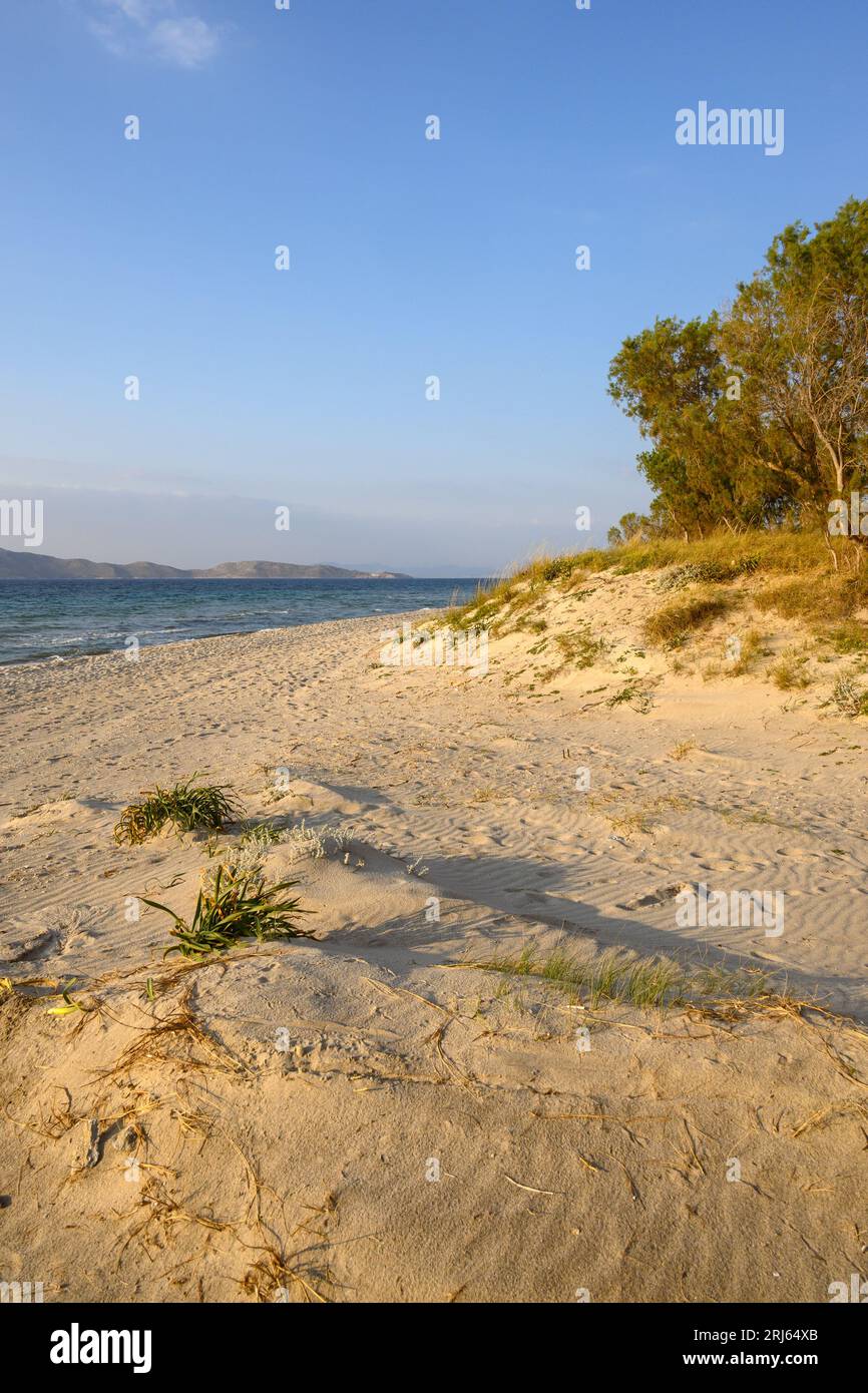 Beautiful Marmari beach with golden sand during sunset. Kos island ...