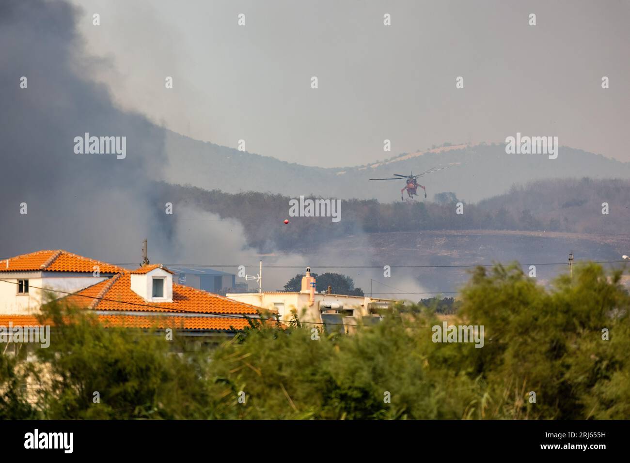 Massive forest fire in Alexandroupolis Evros Greece, near airport and ...