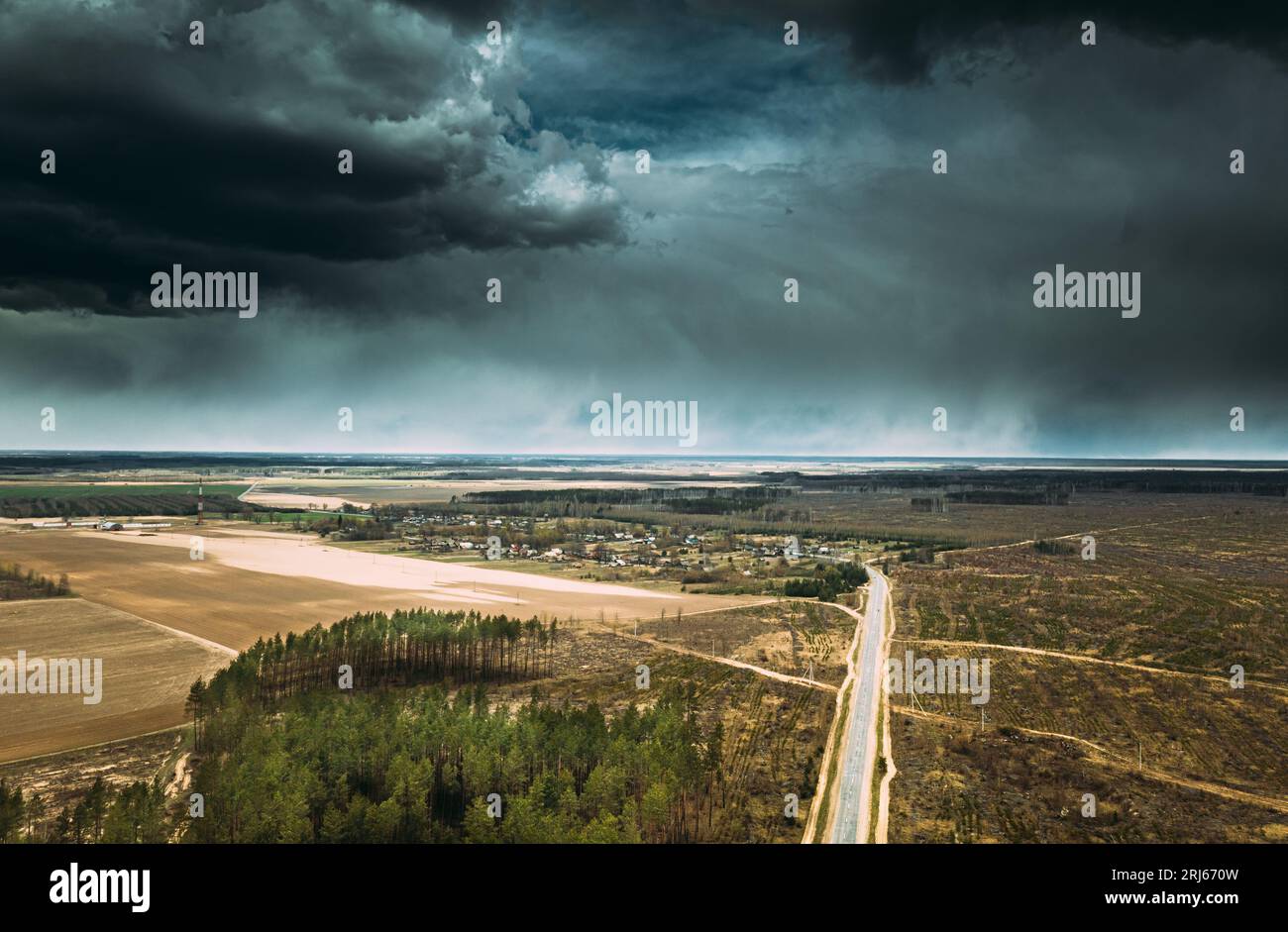 Forest Deforestation Area Landscape. Concept Of Save Nature. Forest ...